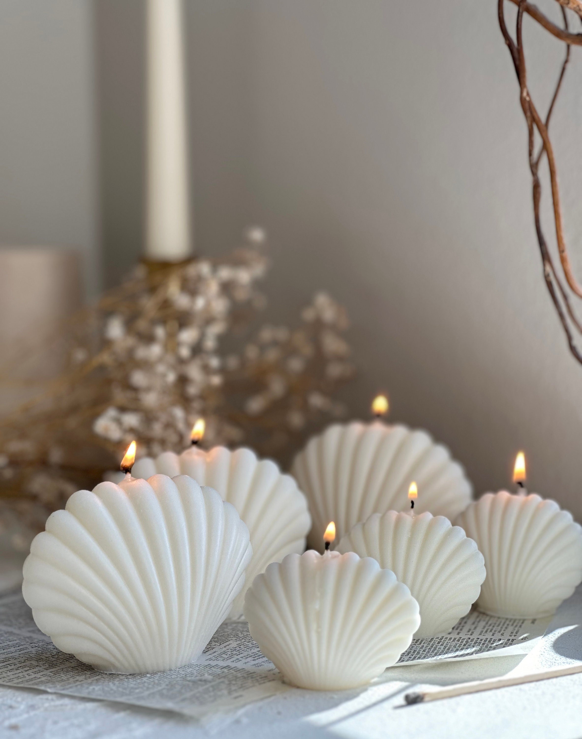 Sea Shell Candle: Undyed Soy Wax Clamshell Candle - Etsy