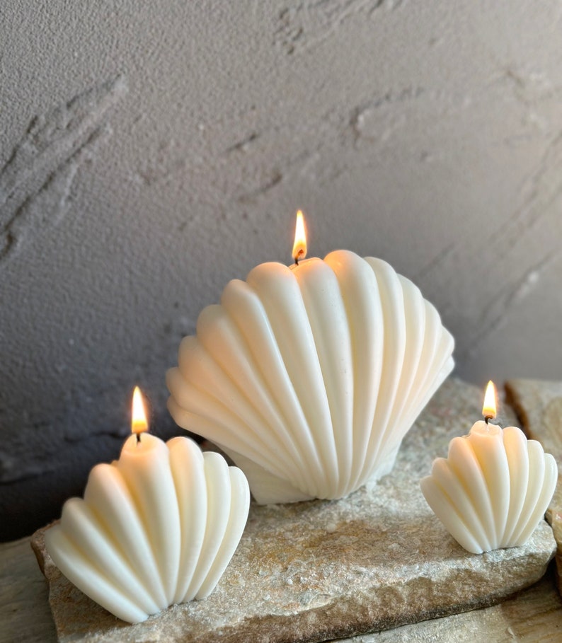 Seashell Candle: Decorative Soy Wax, Beach Home Decor - Etsy