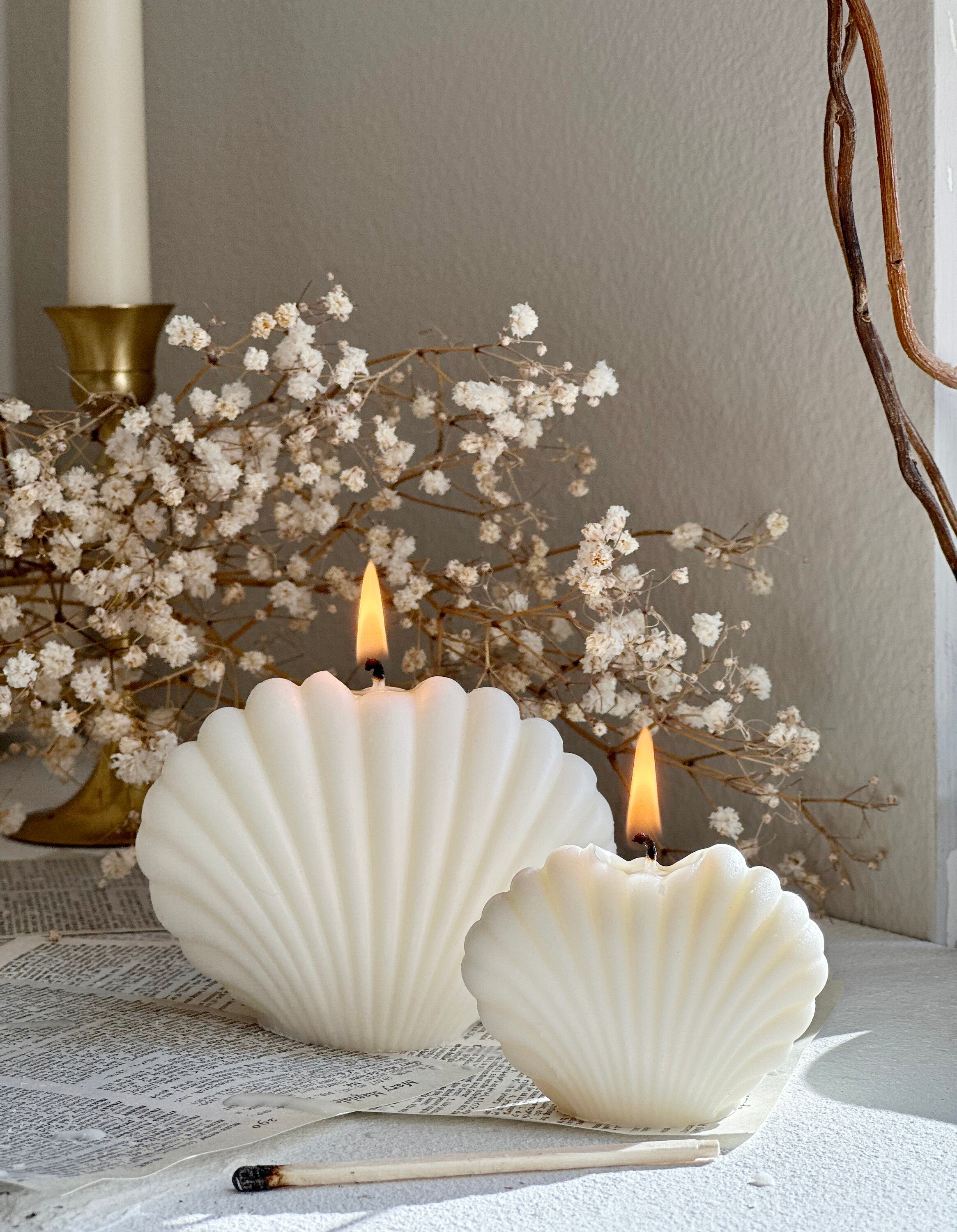 Sea Shell Candle: Undyed Soy Wax Clamshell Candle - Etsy