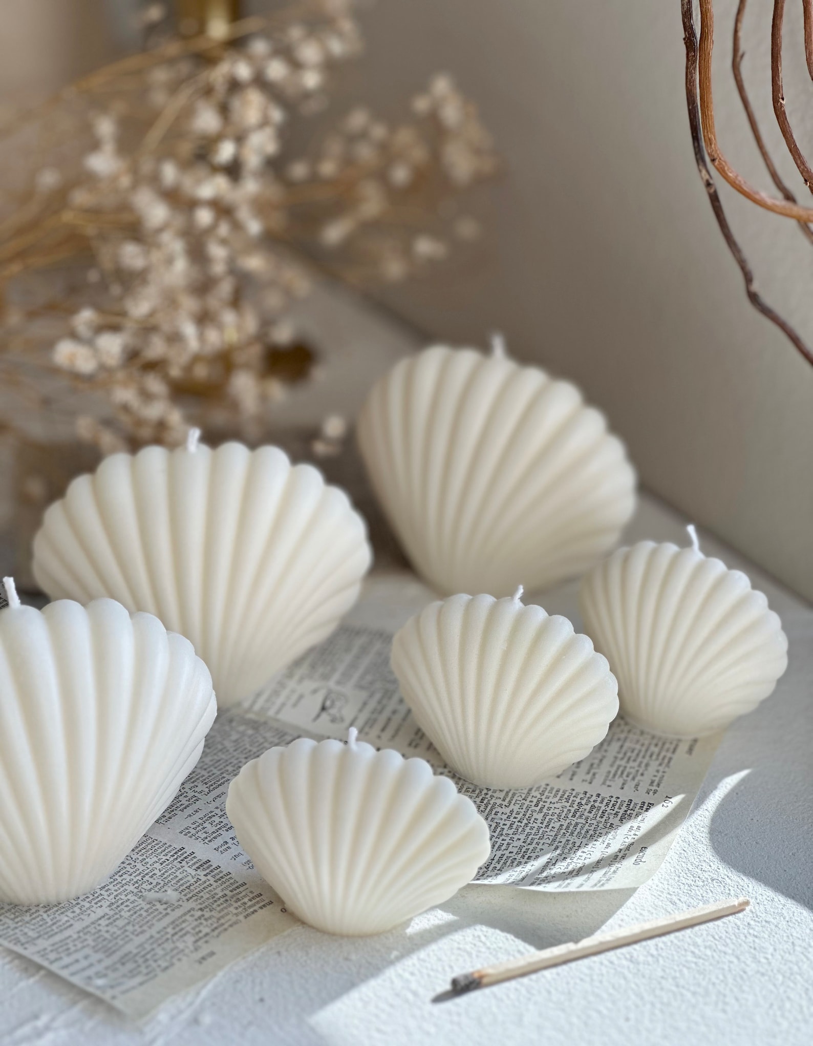 Sea Shell Candle: Undyed Soy Wax Clamshell Candle - Etsy