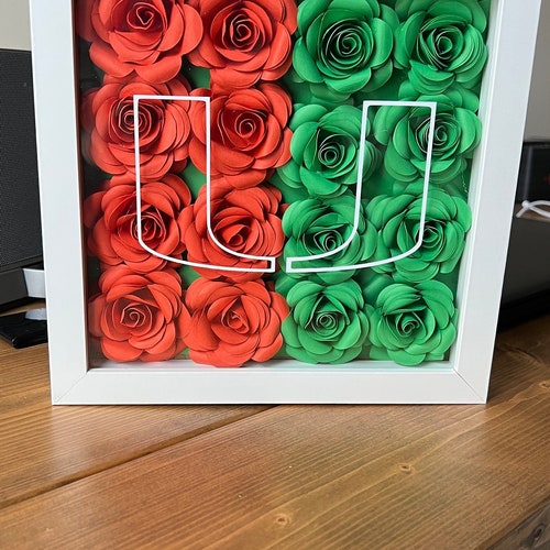 UM Shadow Box College Gift Graduation Canes Wall Decor - Etsy