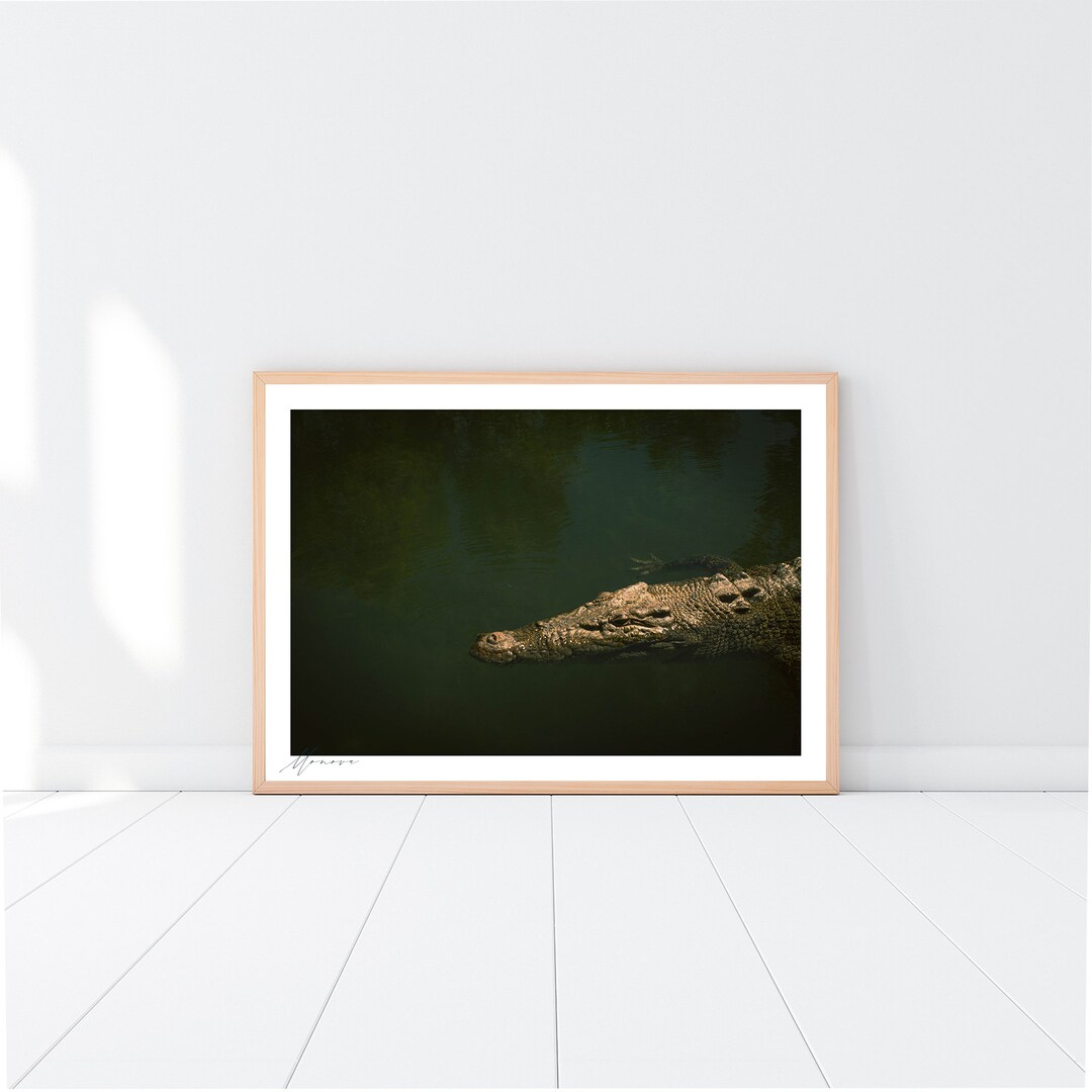 Crocodile Original Print | Australia | Signed Photography | Wall Art - Etsy