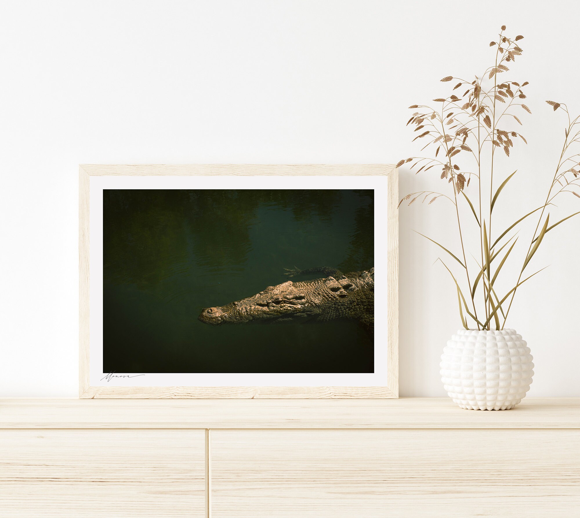 Crocodile Original Print | Australia | Signed Photography | Wall Art - Etsy