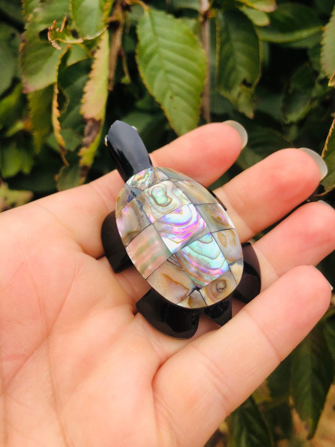 Precious Abalone & Black Obsidian Turtle Carving - Etsy