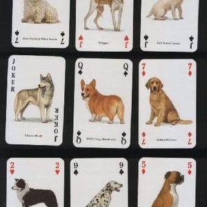 Dogs of the World Standard Set of 52 Playing Cards + Jokers - Etsy