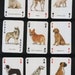 Dogs of the World Standard Set of 52 Playing Cards Jokers - Etsy