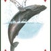 Whales and Dolphins Set of 52 Playing Cards Jokers - Etsy