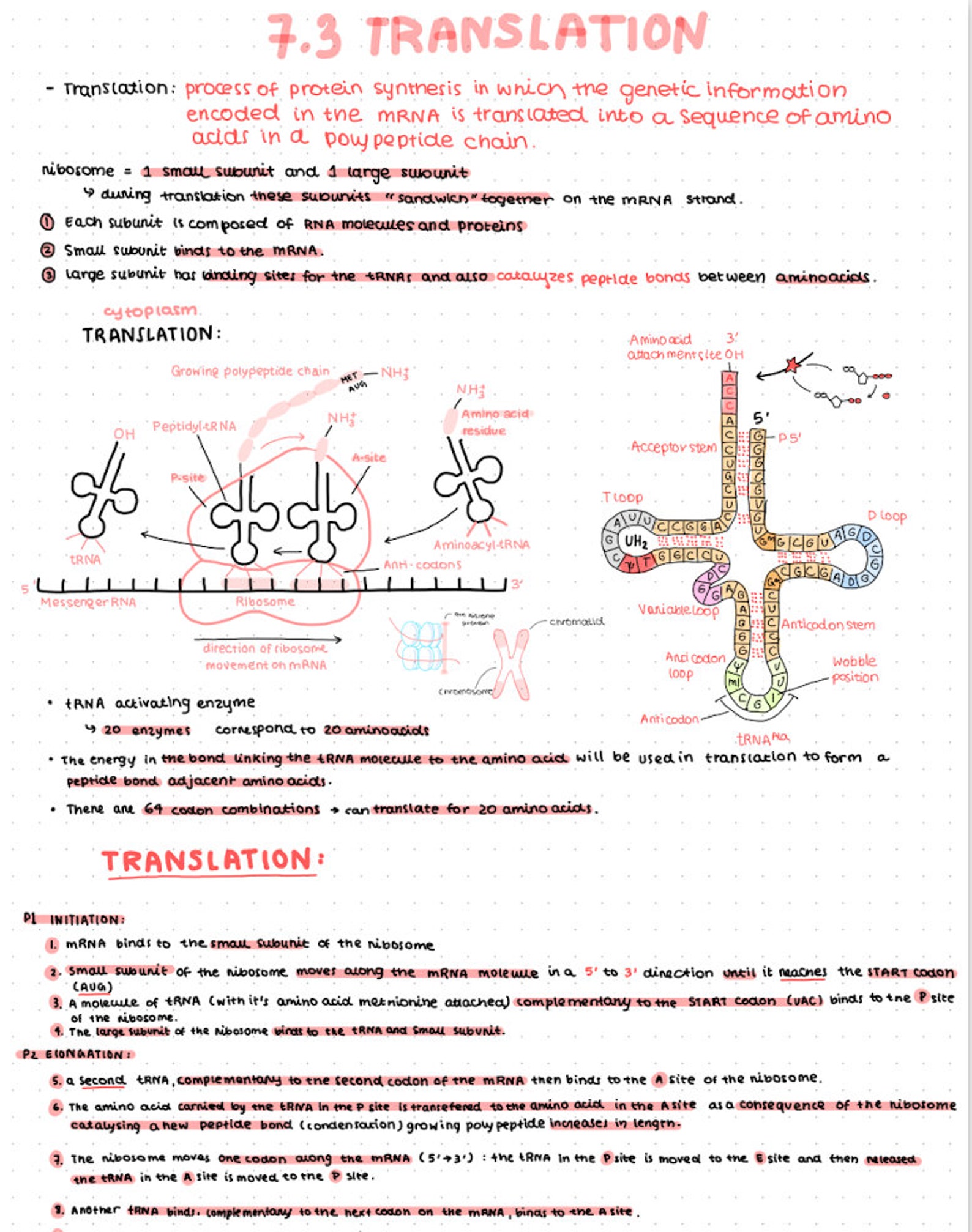 Pin On Knjige Online Elektrika Matematika Dizajn Ib Biology Topic 1 pin-on-knjige-online-elektrika-matematika-dizajn-ib-biology-topic-1