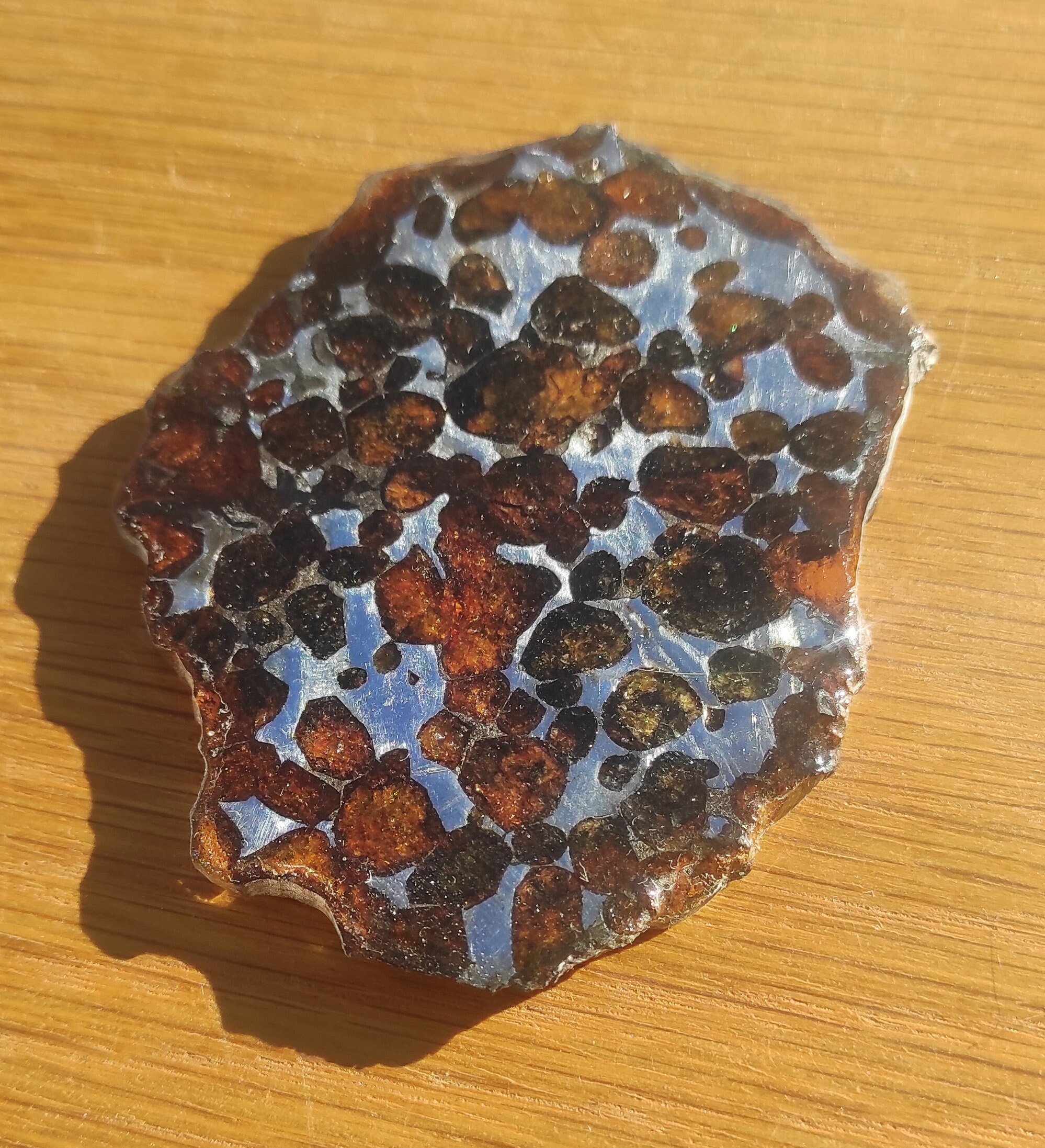 Sericho Pallasite Meteorite Slice With Epoxy 55.59g - Etsy