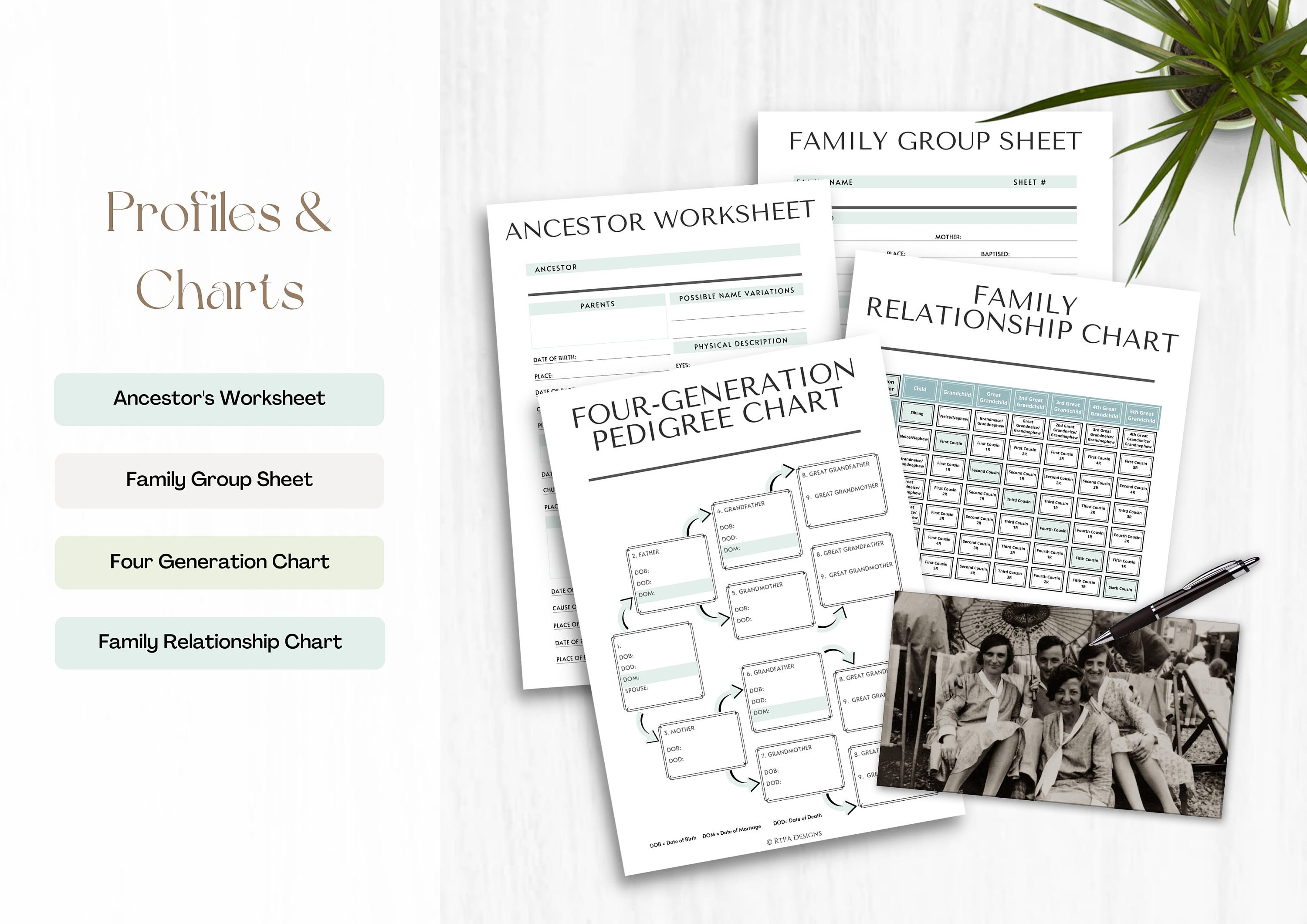 Family History Beginner's Bundle | Worksheets | PDF | Genealogy | Blue ...