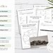 Family History Worksheet Bundle | Worksheets | PDF | Genealogy ...