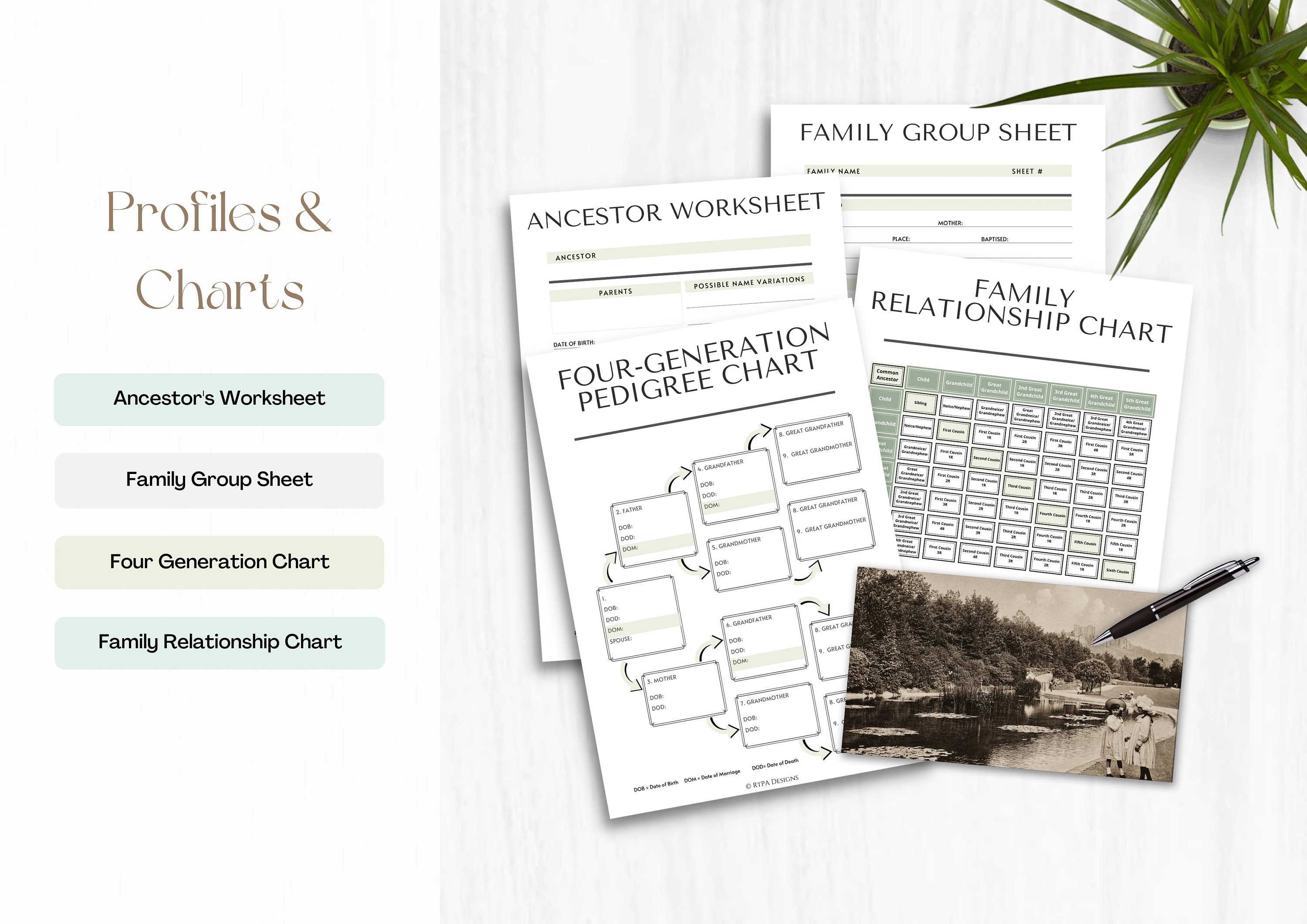 Family History Beginner's Bundle | Worksheets | PDF | Genealogy | Sage ...
