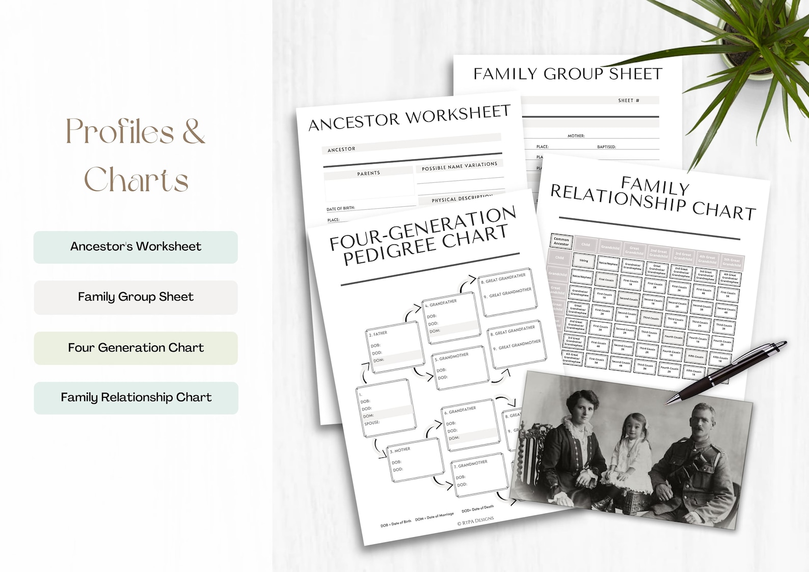Family History Beginner's Bundle | Worksheets | PDF | Genealogy ...