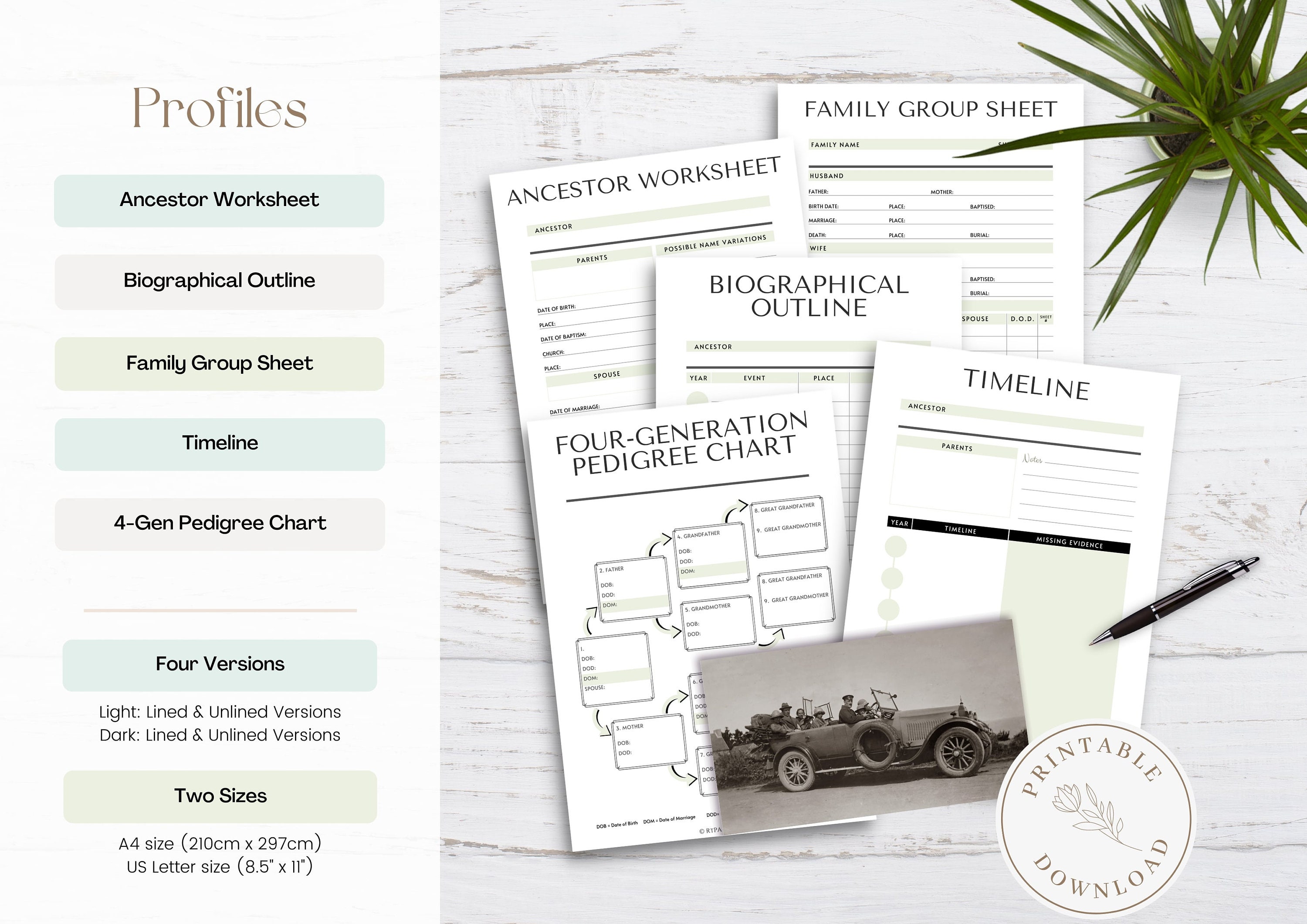 Family History Worksheet Bundle | Worksheets | PDF | Genealogy | Sage ...