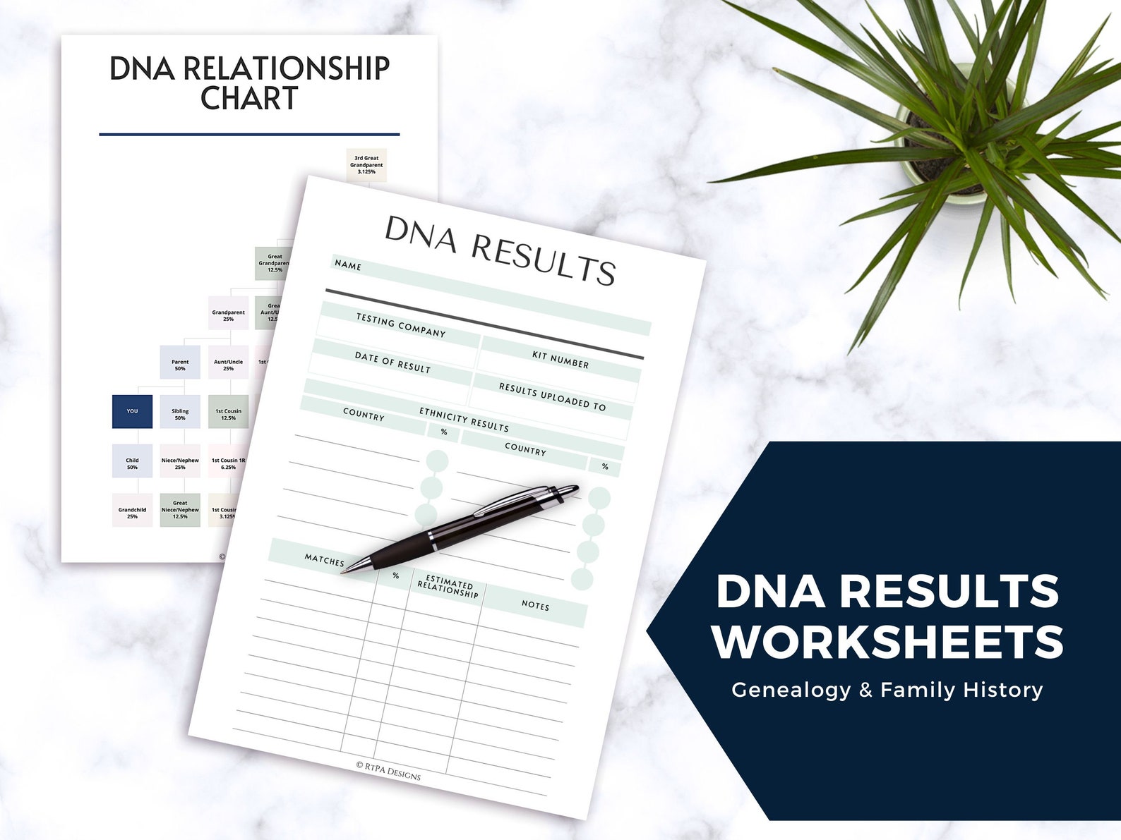 DNA Results Worksheet DNA Relationship Chart Family - Etsy