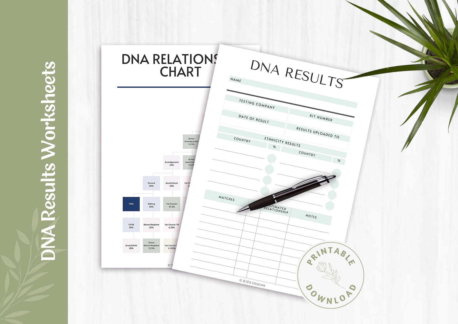 DNA Results Worksheet | DNA Relationship Chart | Family History ...