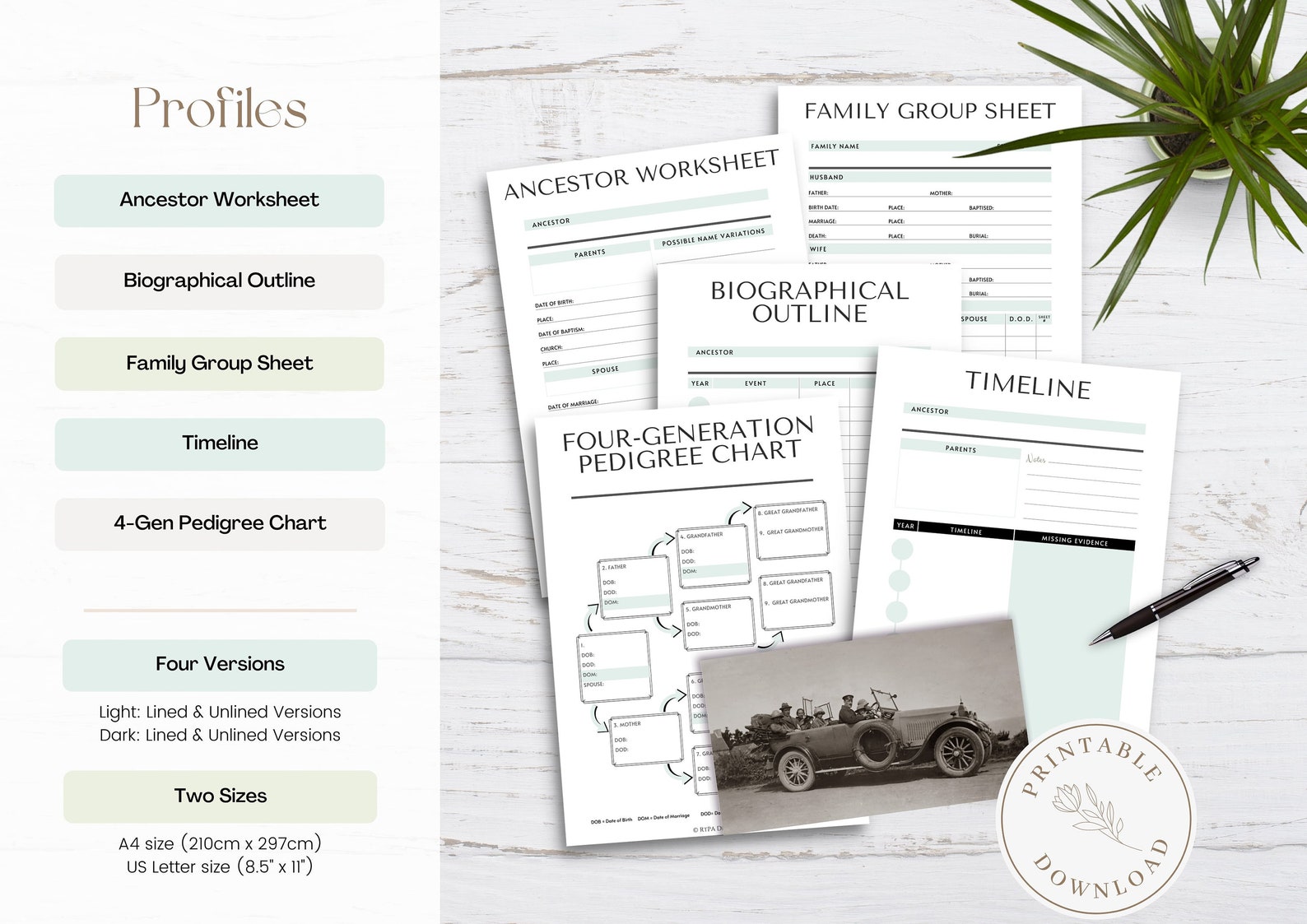 Family History Worksheet Bundle | Worksheets | PDF | Genealogy | Blue ...