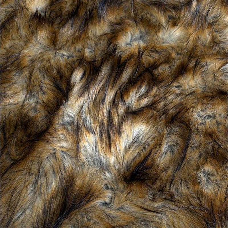 Grizzly Bear Fur - Etsy