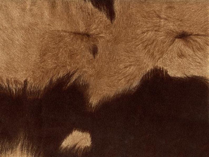 Suede Velvet BIG COW BROWN Print Fabric Udder Madness Upholstery ...