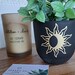 Sun Plastic Planter Pot | Sunshine Planter | Sun Themed Planter ...