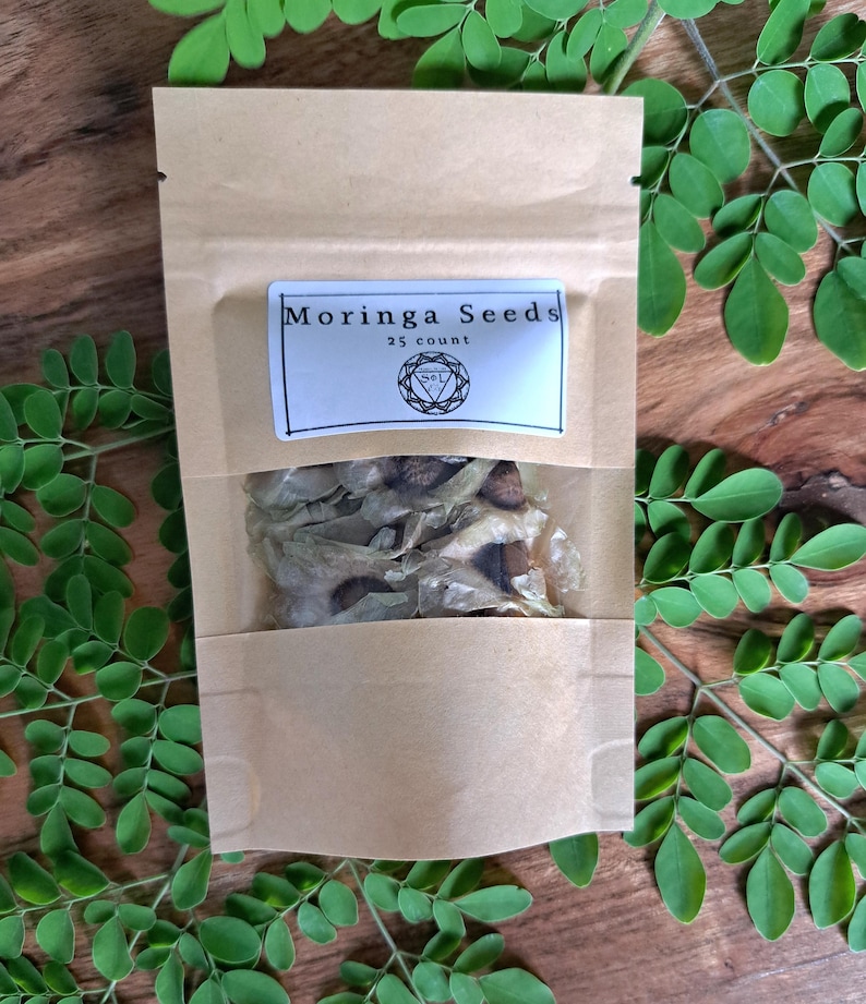 Moringa Oleifera Seeds | Drumstick Tree Seeds | Horseradish Tree Seeds ...