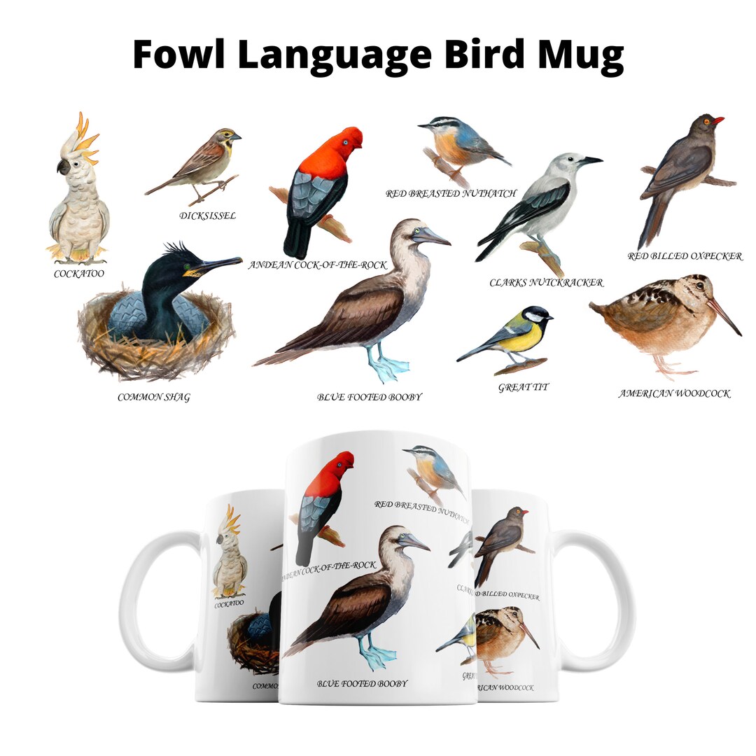 11oz Fowl Language Bird Mug | Foul Language Bird Mug | Bird Coffee Mug ...