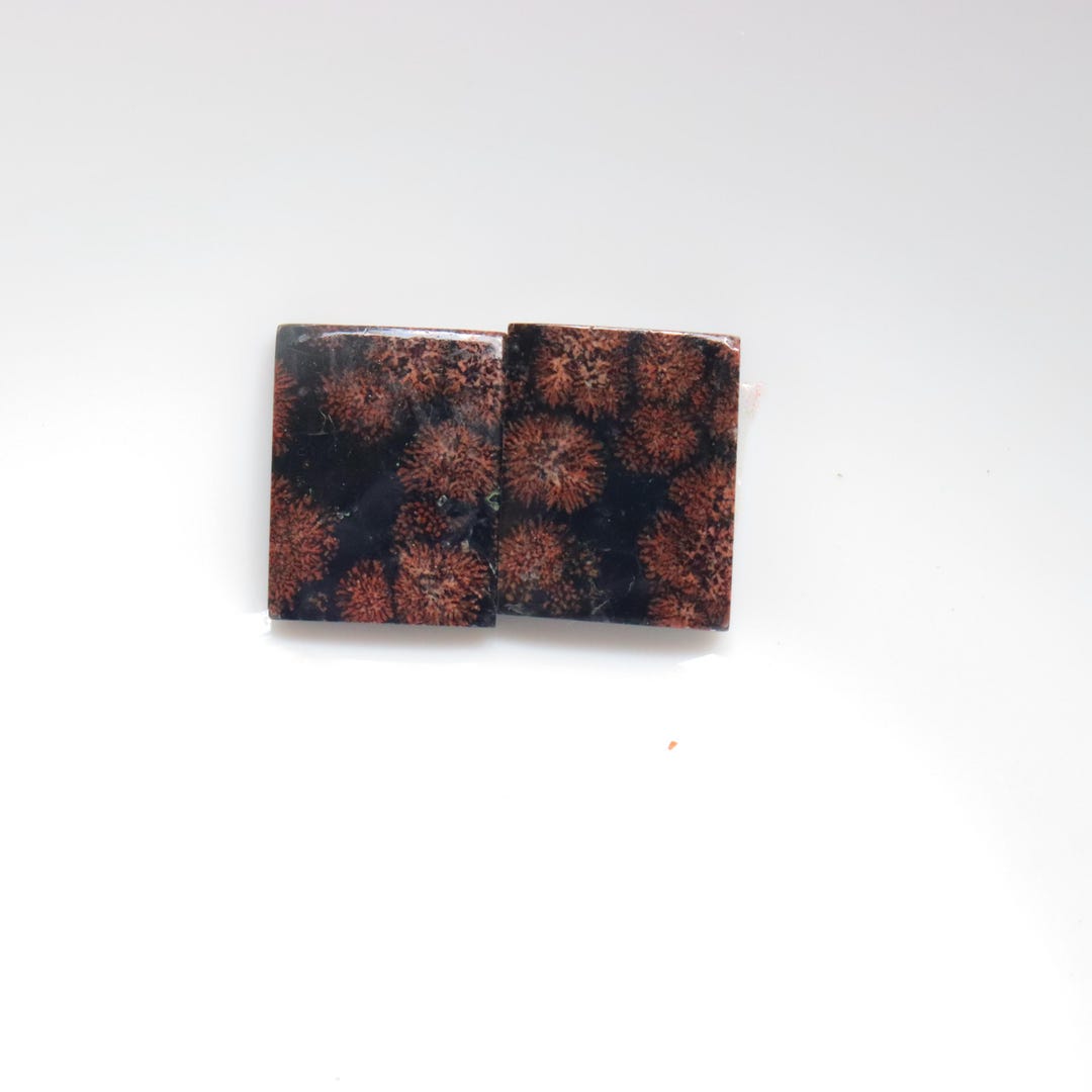 Designer Flower Obsidian Matching Pair, Natural Flower Obsidian ...