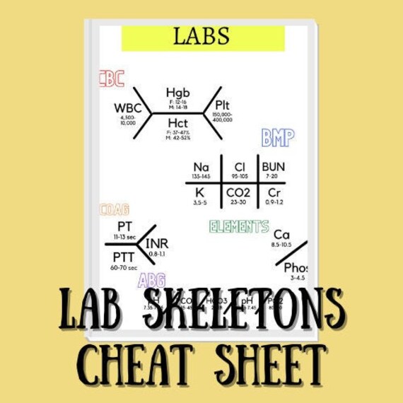 Lab Values Quick Reference | Etsy