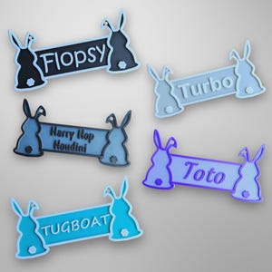 Personalized Rabbit Cage Sign, Custom Bunny Crate Nameplate, Hanging ...