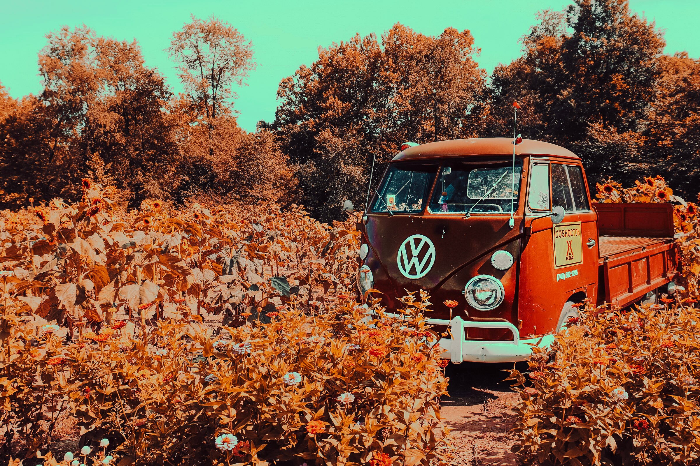 VW Van in Autumn - Etsy