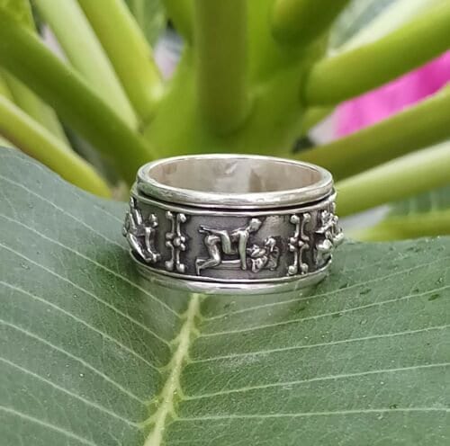 Sexual Silver Ring for Men, Spinner Ring for Women, Worry Band Ring ...