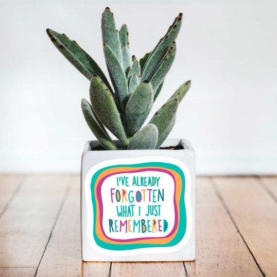 ADHD Already Forgotten What I Just Remembered ADHD Sticker | Etsy