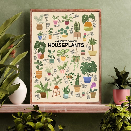 Guide to Common Houseplants Poster Wall Decor Plant Parent - Etsy