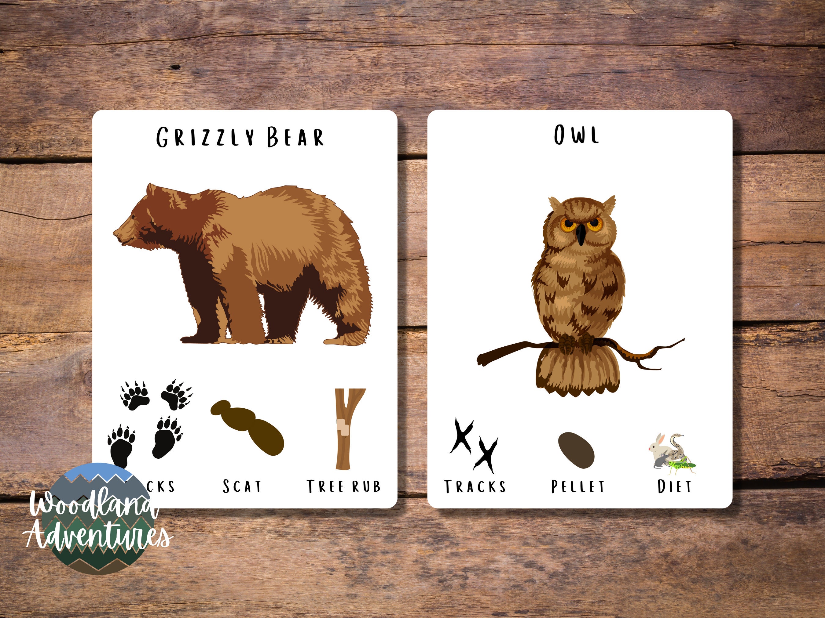 Woodland Animal Tracking Cards North America PDF Nature-based Cards - Etsy