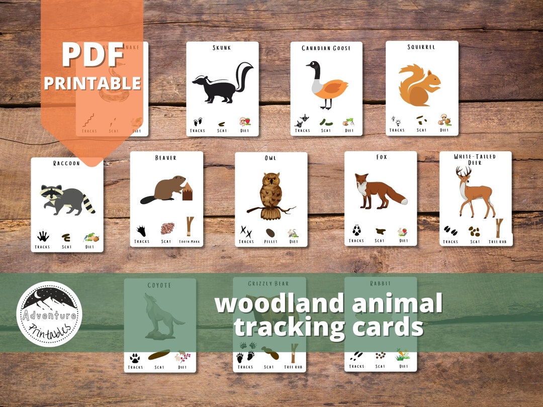 Woodland Animal Tracking Cards • North America • Nature-based Cards ...