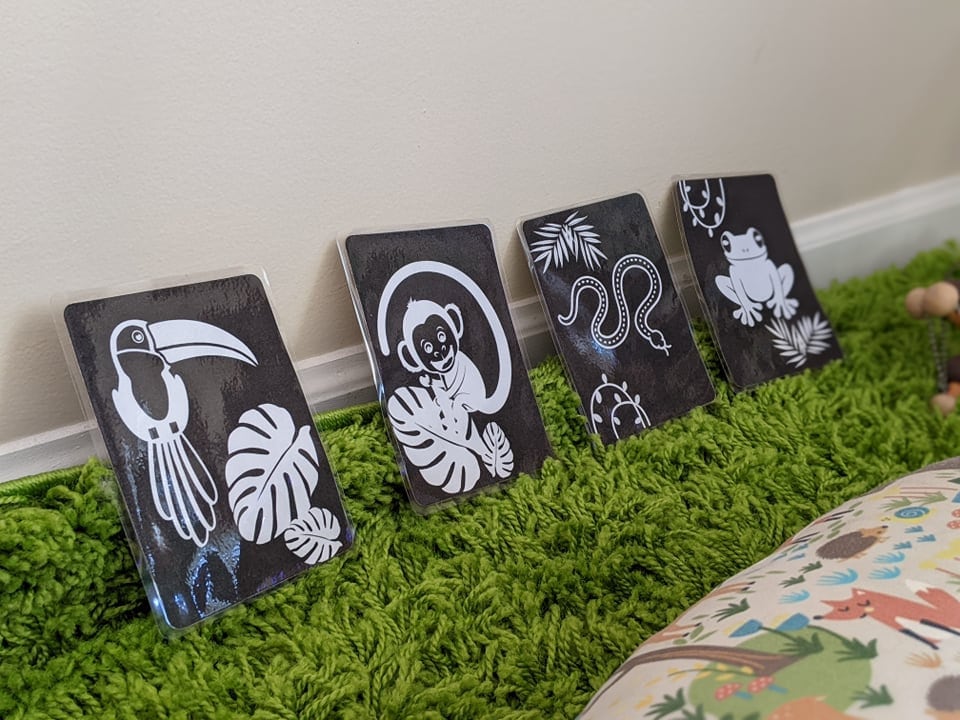 High Contrast Cards • Infant • PDF • Printable - Etsy