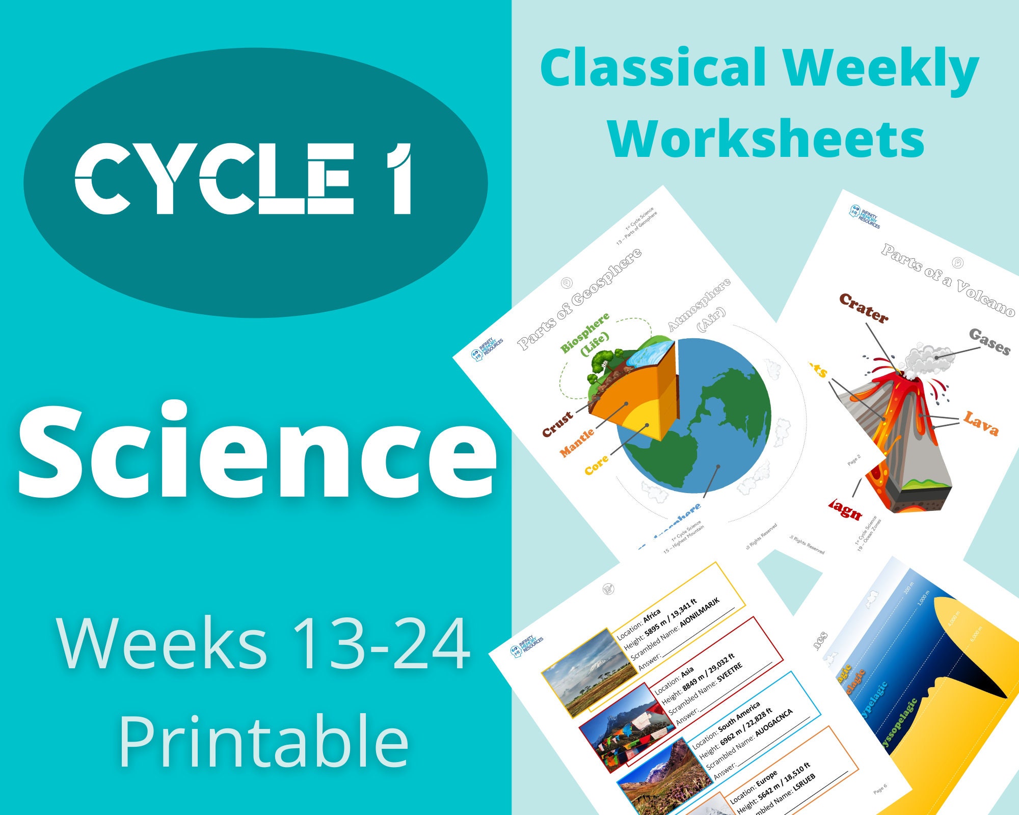 Cycle 1 Science Classical Weekly Worksheets Weeks 13-24 - Etsy