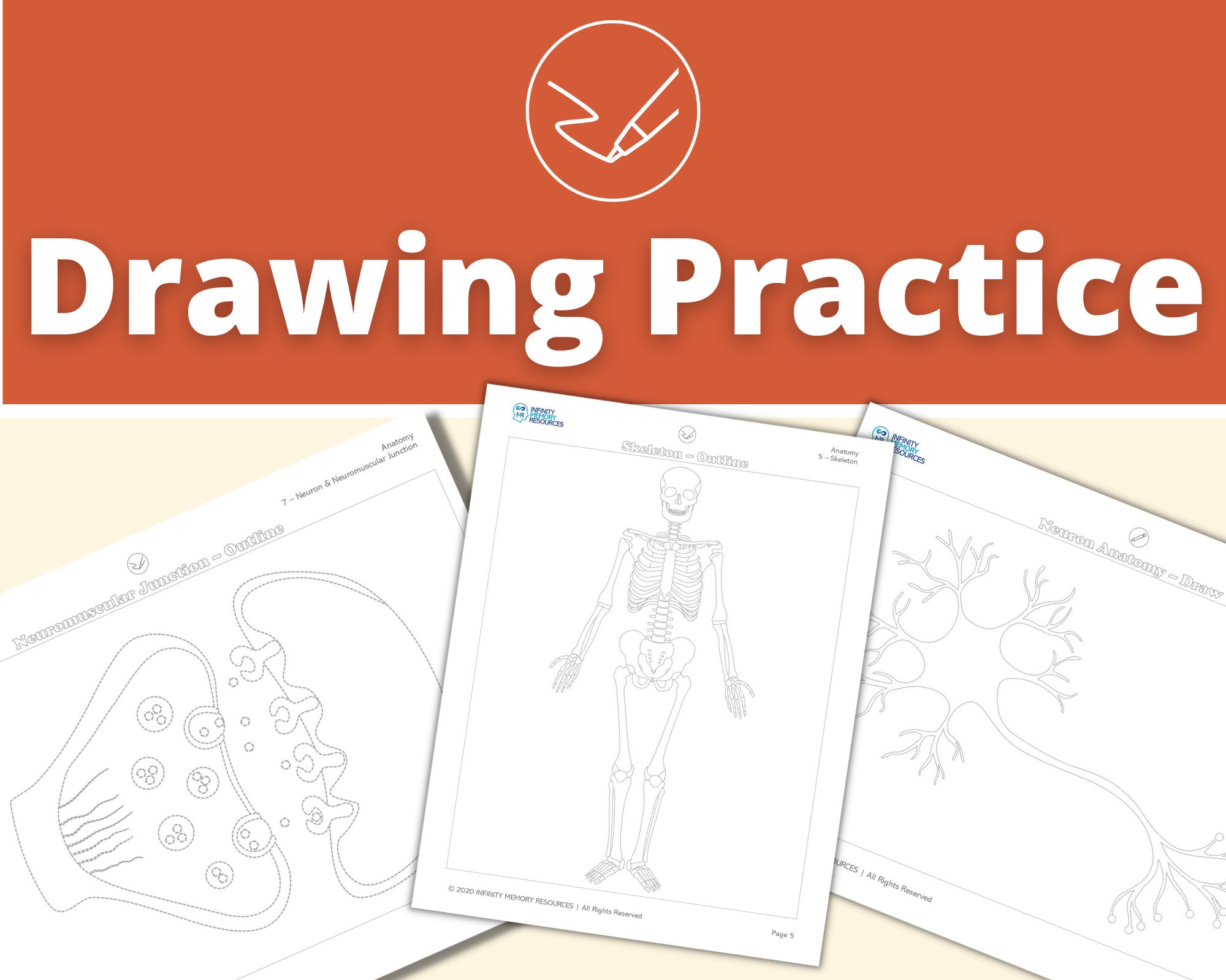 Challenge A - Anatomy - Classical Weekly Worksheets - 9 Weeks - Etsy