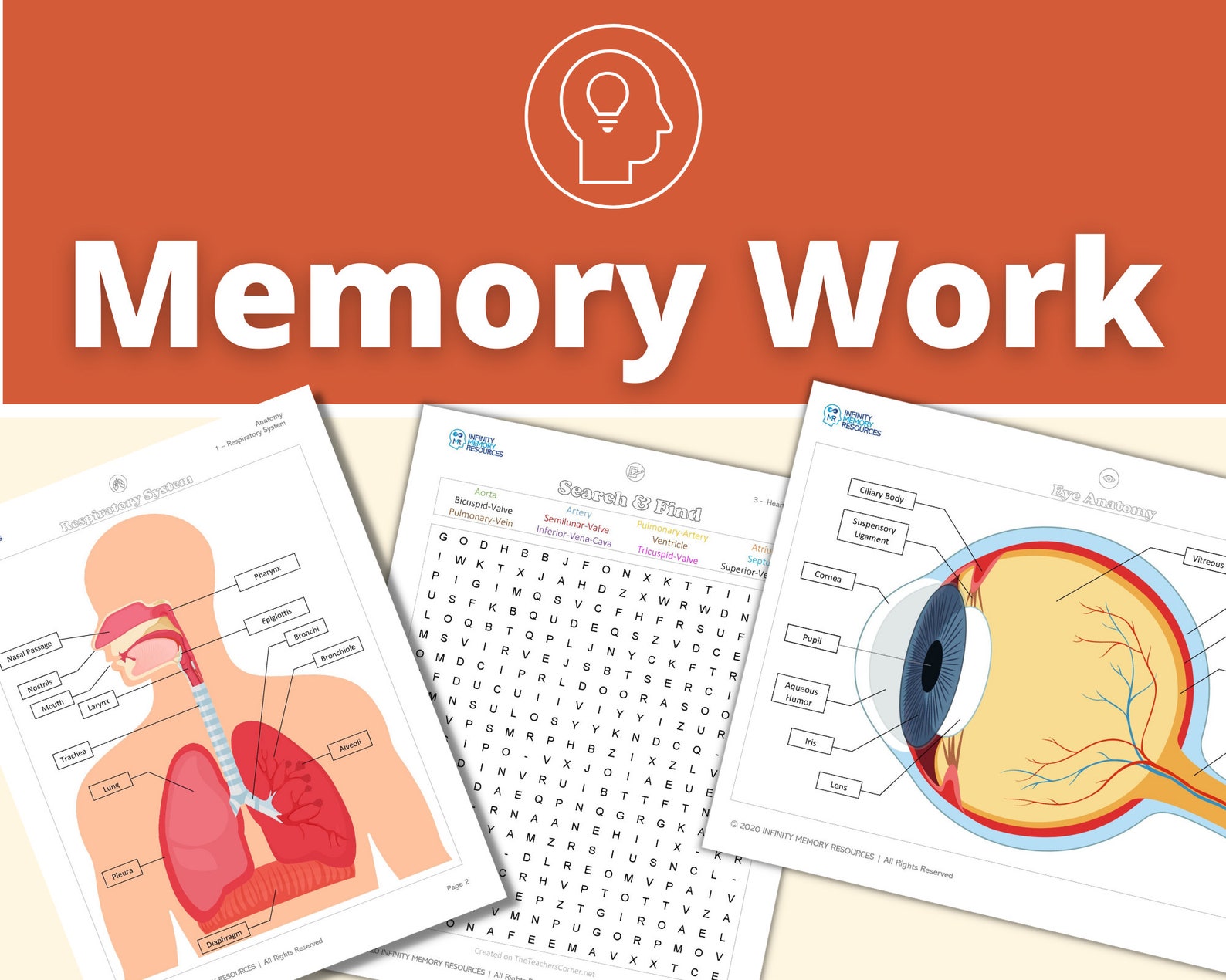 Challenge A - Anatomy - Classical Weekly Worksheets - 9 Weeks - Etsy