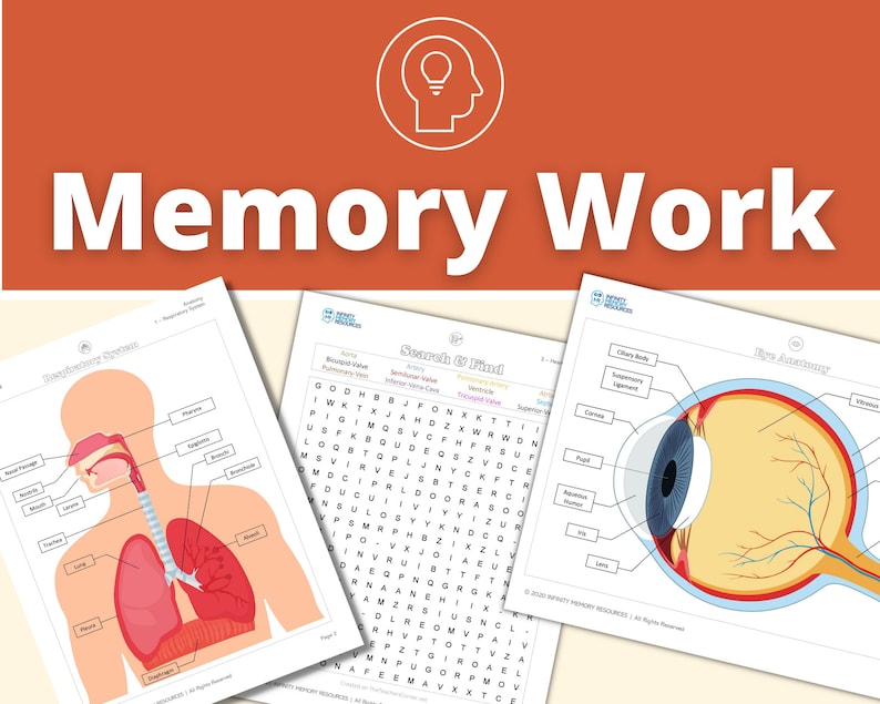 Challenge A - Anatomy - Classical Weekly Worksheets - 9 Weeks - Etsy