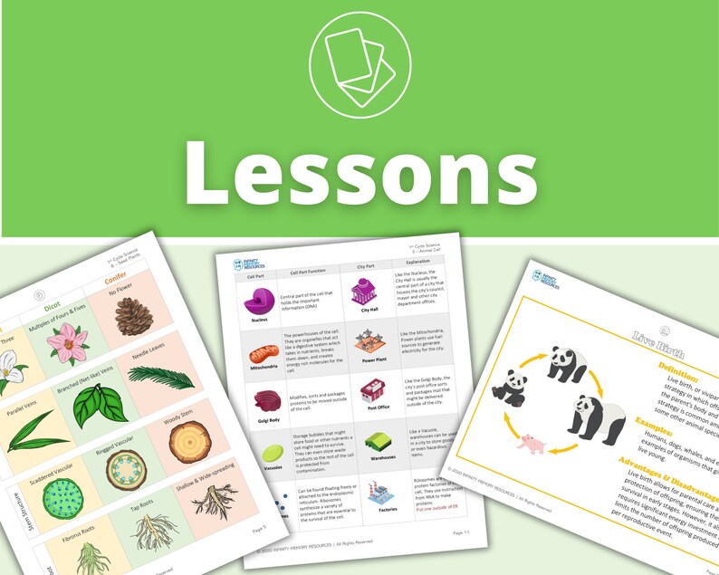 Cycle 1 - Science - Classical Weekly Worksheets - Weeks 1-12 - Etsy