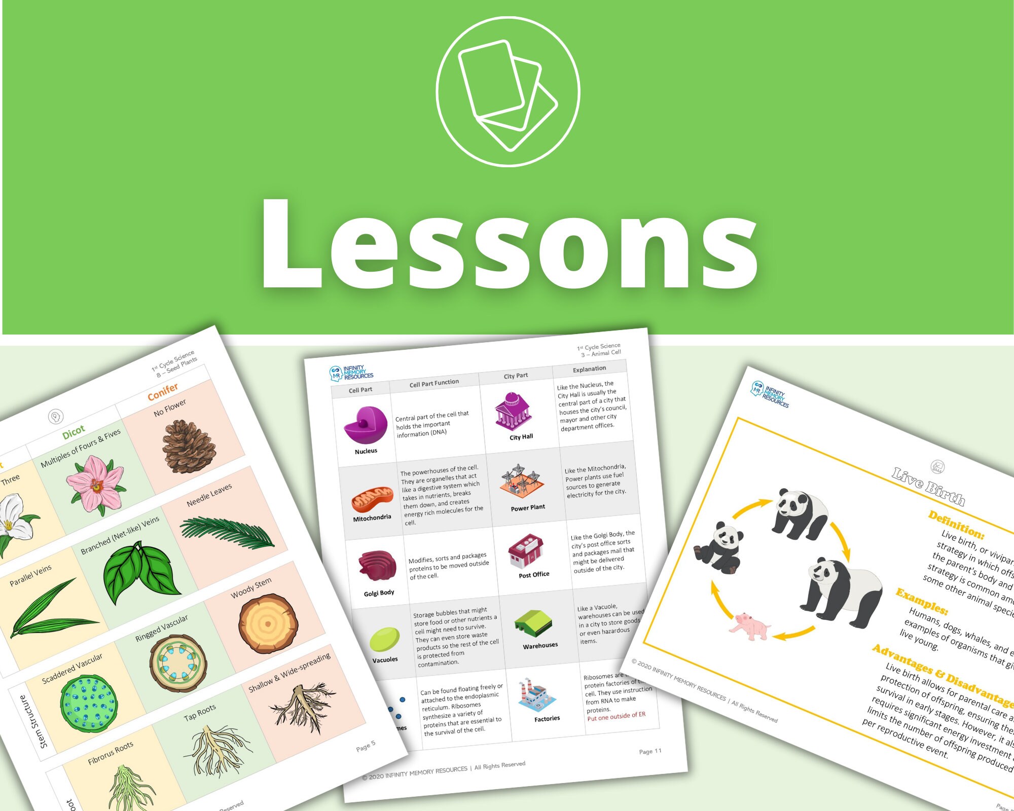 Cycle 1 - Science - Classical Weekly Worksheets - Weeks 1-12 - Etsy