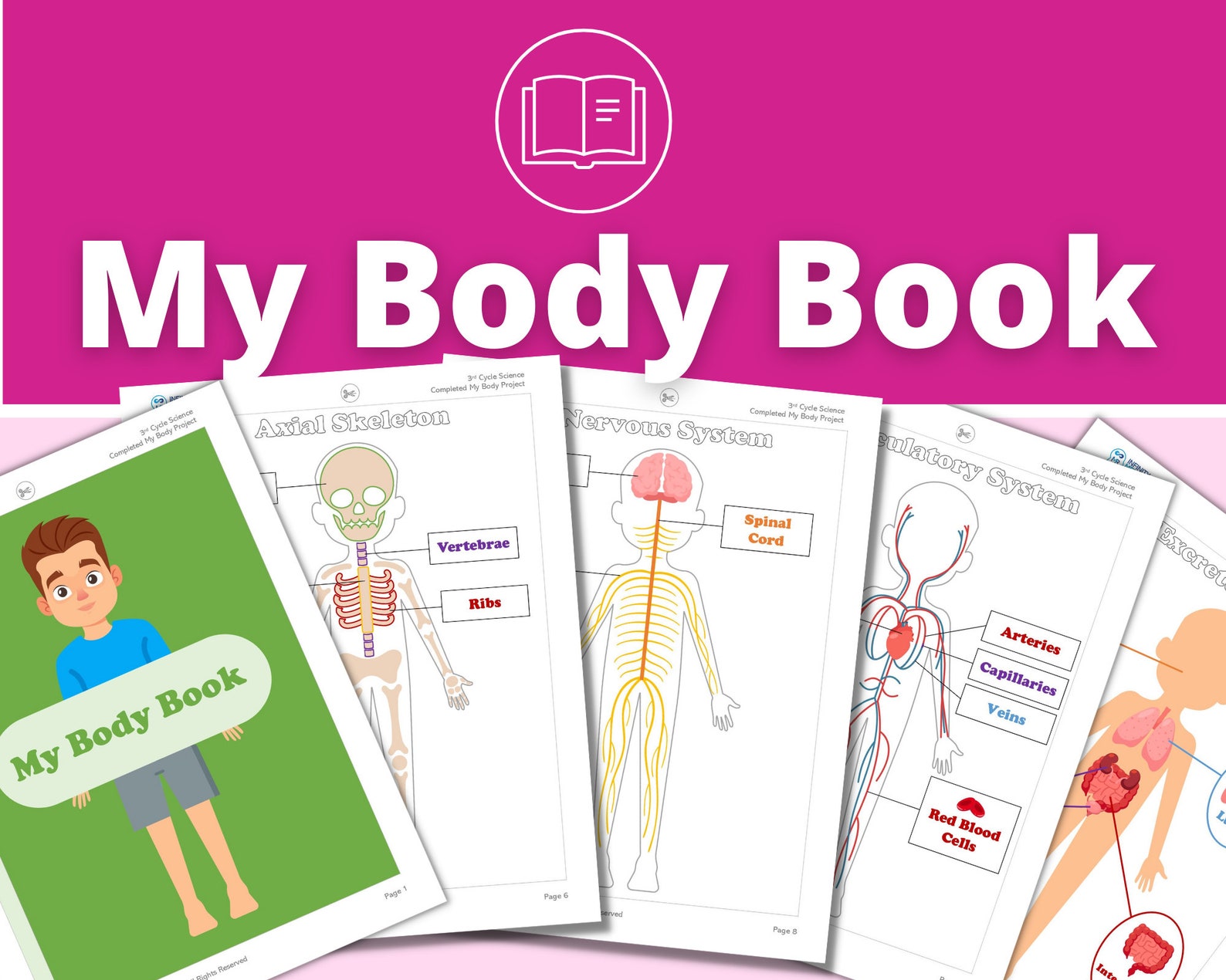 Cycle 3 Science Classical Weekly Worksheets Weeks 1-12 - Etsy