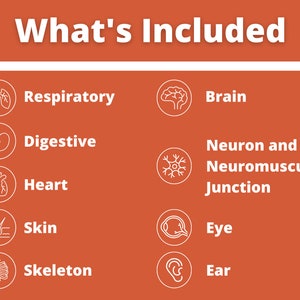 Challenge A - Anatomy - Classical Weekly Worksheets - 9 Weeks - Etsy
