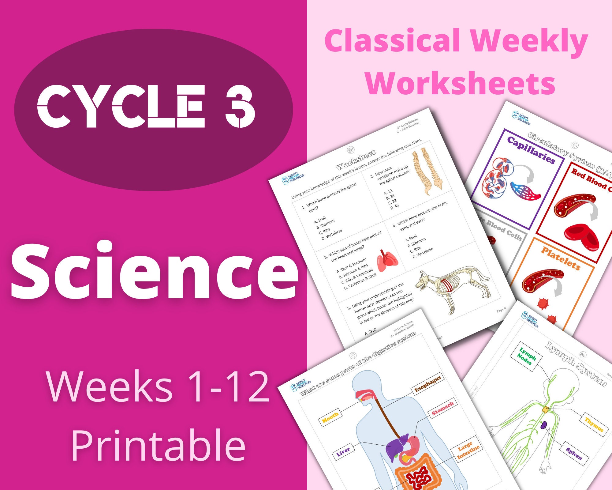 Cycle 3 - Science - Classical Weekly Worksheets - Weeks 1-12 - Etsy