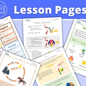 Cycle 2 - Science - Classical Weekly Worksheets - 24 Weeks - Etsy