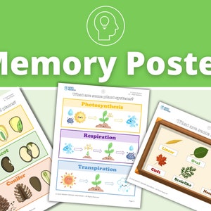 Cycle 1 - Science - Classical Weekly Worksheets - Weeks 1-12 - Etsy