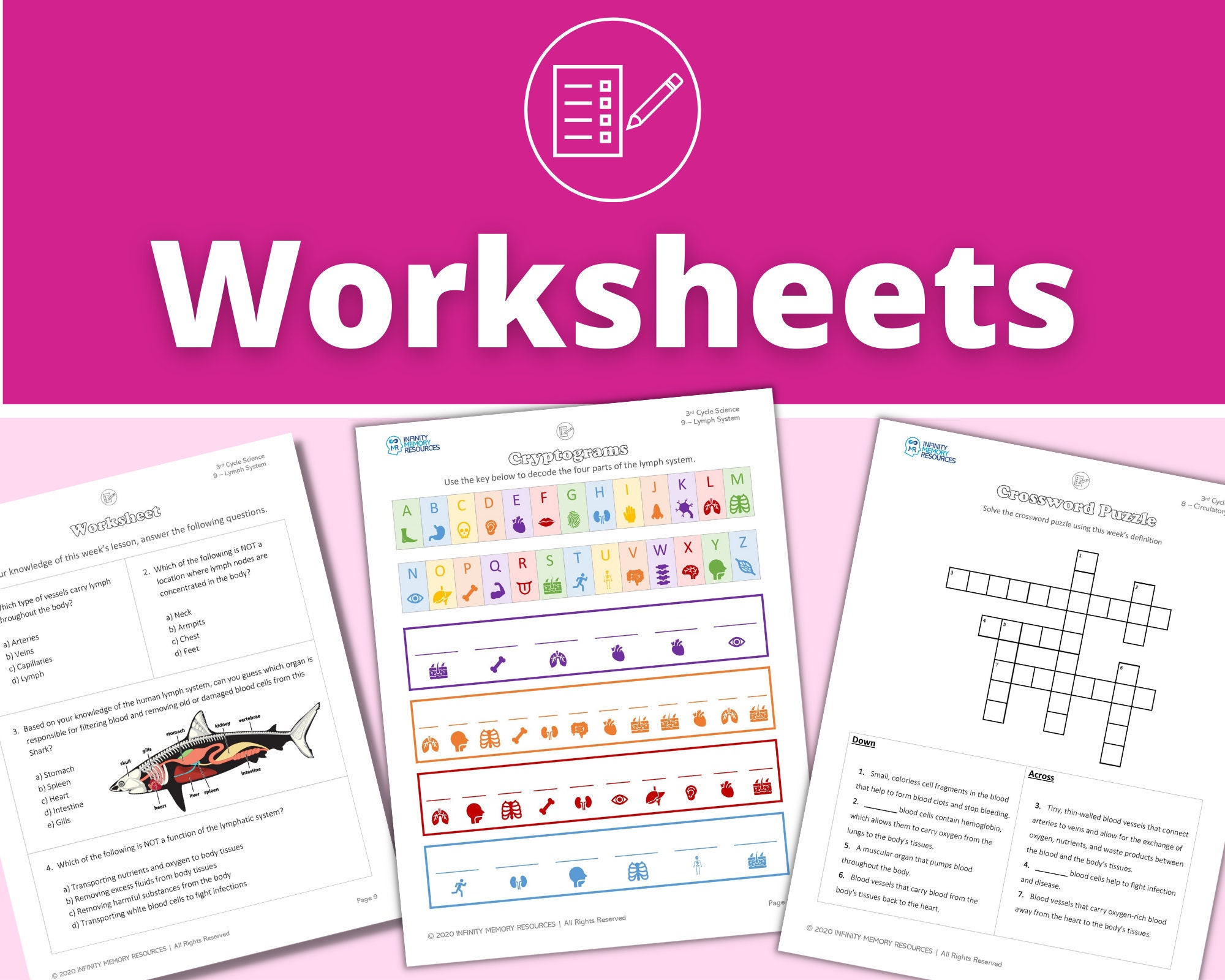 Cycle 3 Science Classical Weekly Worksheets Weeks 1-12 - Etsy