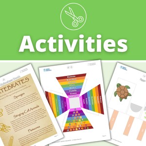 Cycle 1 - Science - Classical Weekly Worksheets - Weeks 1-12 - Etsy
