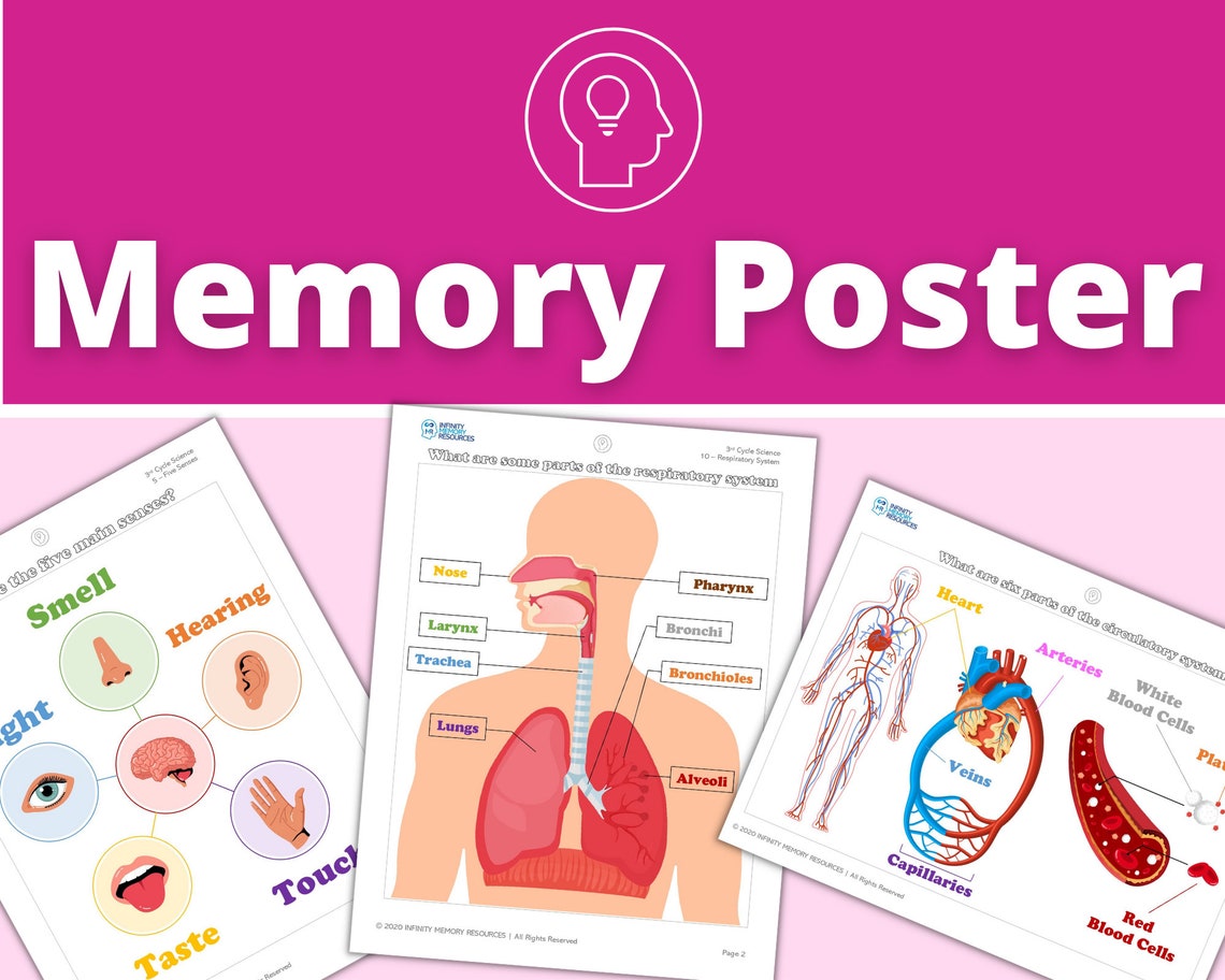 Cycle 3 Science Classical Weekly Worksheets Weeks 1-12 - Etsy